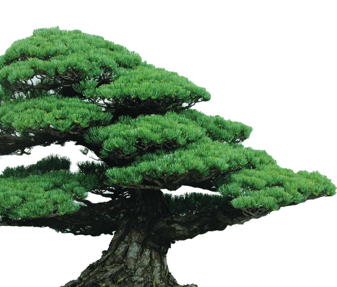 UOB Annual Report 2024